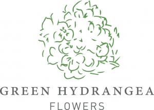 Homeless Programs & Services | Georgetown Ministry Center